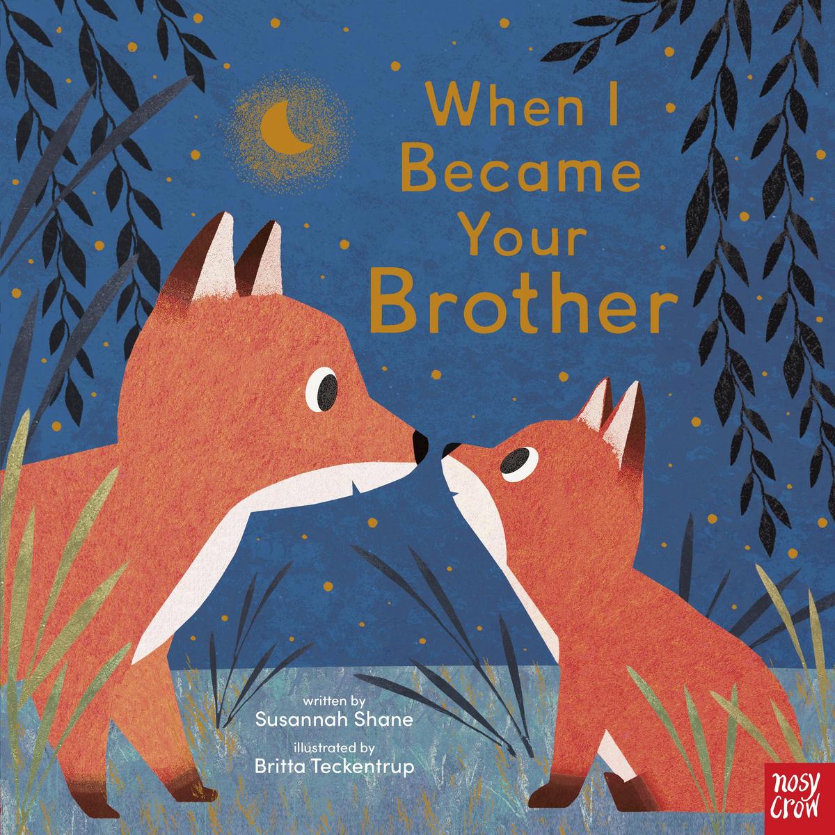 When I Became Your Brother by Britta Teckentrup - McNally Robinson ...