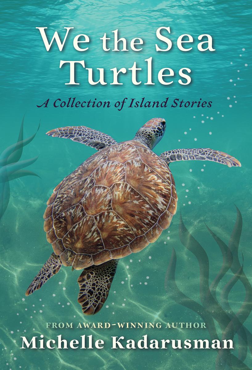 We The Sea Turtles by Michelle Kadarusman - McNally Robinson Booksellers