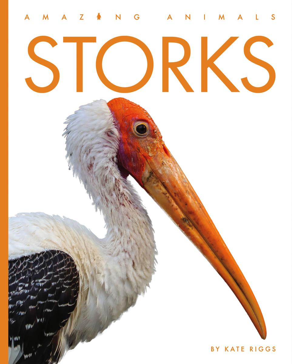 Storks by Kate Riggs - McNally Robinson Booksellers
