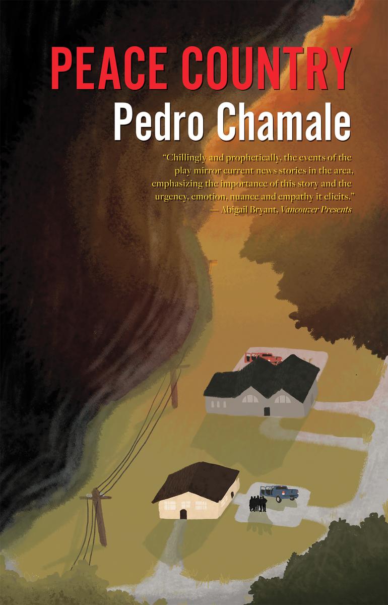 Peace Country by Pedro Chamale, Heidi Taylor - McNally Robinson Booksellers