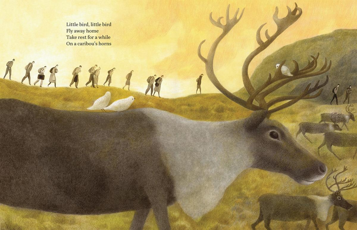 Fly Away Home by Betty Quan | Octopus Books