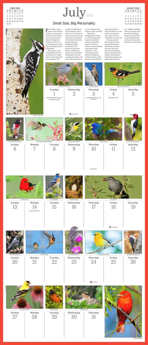 25 Different Types Of Birds With Names And Pictures Birds Names In