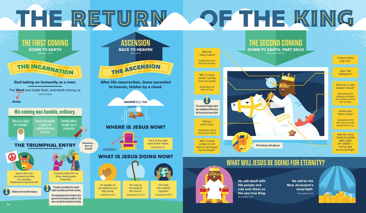 Infographic Tutorial Illustrator Beginners Bible Videos Song Of Songs