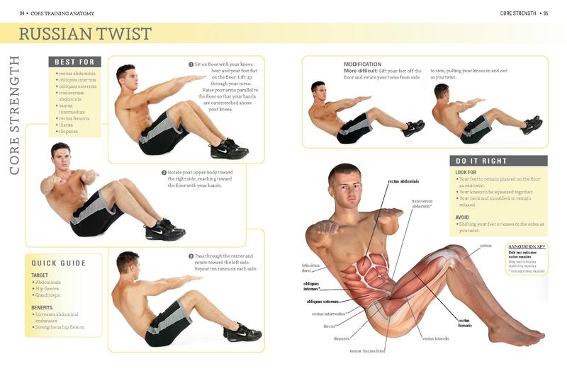 Anatomy Of The Core Anatomy 101 The Core — YOGARU