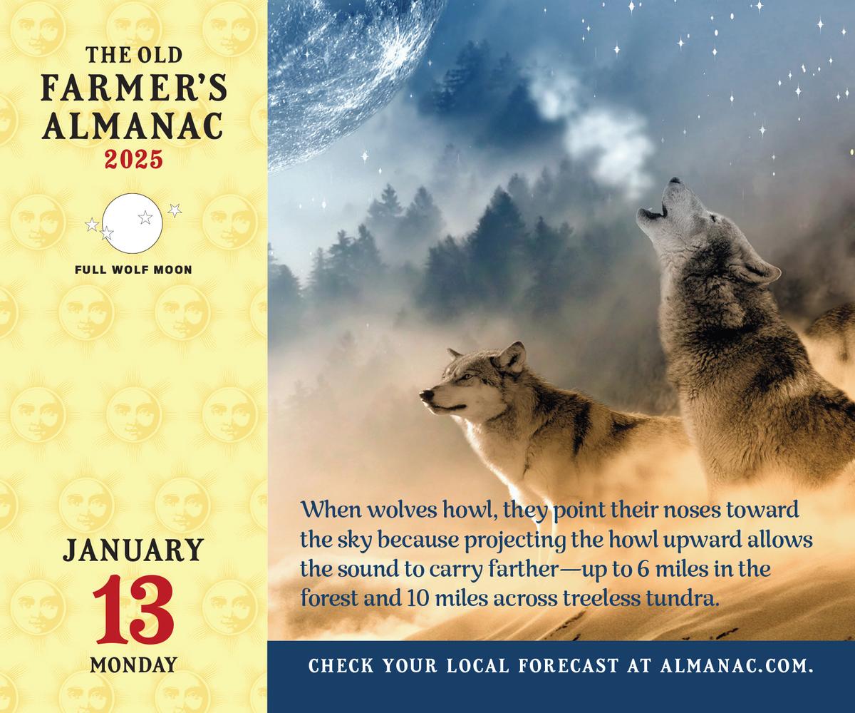 Old Farmer Almanac Quotes