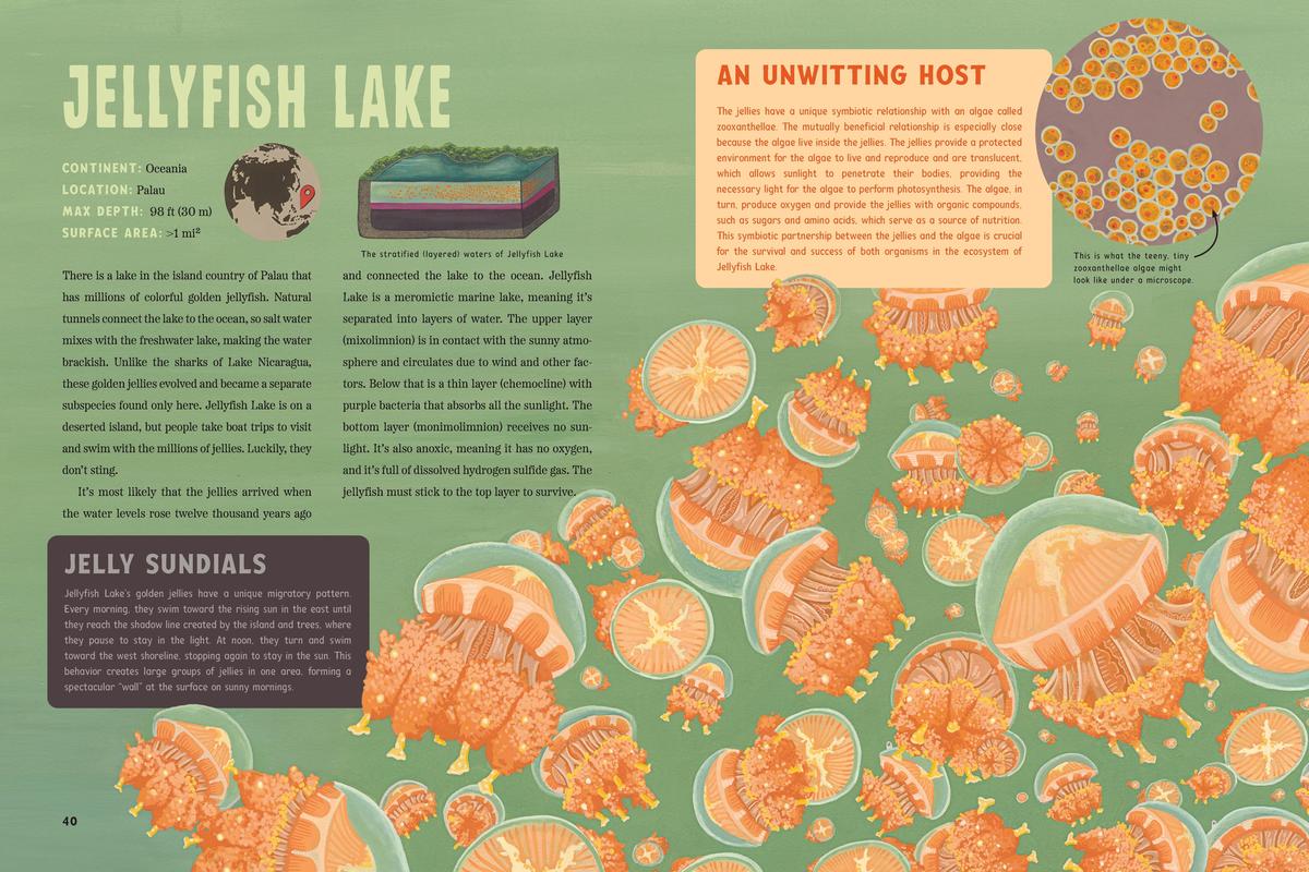 Spooky Lakes by Geo Rutherford | Brick and Mortar Books