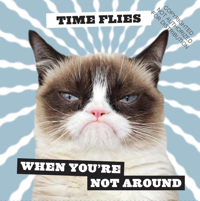 Grumpy Cat Library Memes A Sign That Says Grumpy Cat On It | Premium