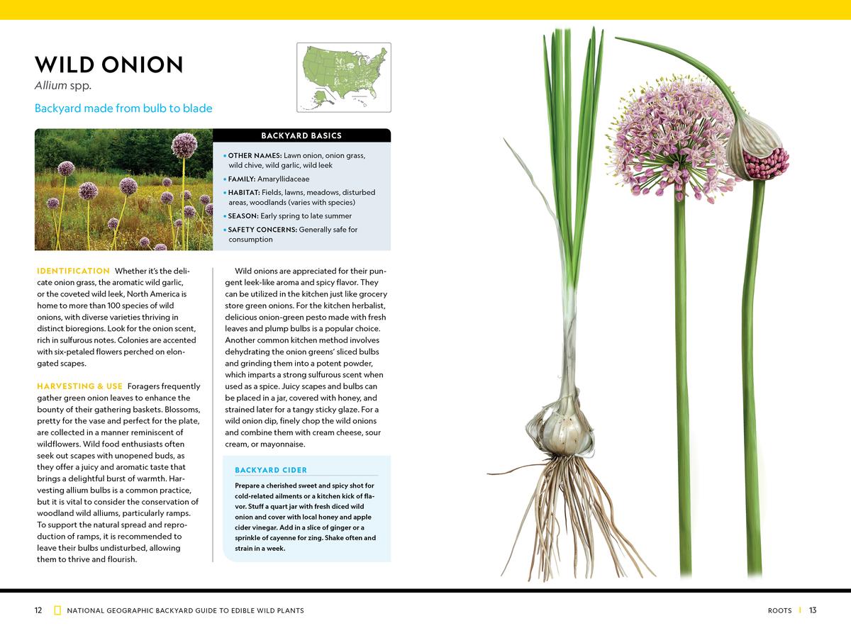 Identifying Edible Roots