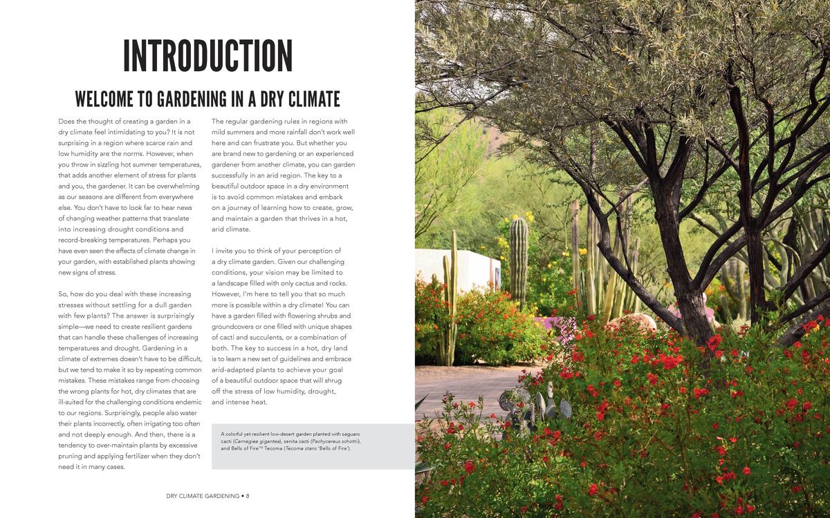 Dry Climate Vegetable Gardens Creating A Drought Tolerant Vegetable